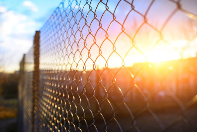 Commercial Yard Services | Dynamic Maintenance & Construction LLC